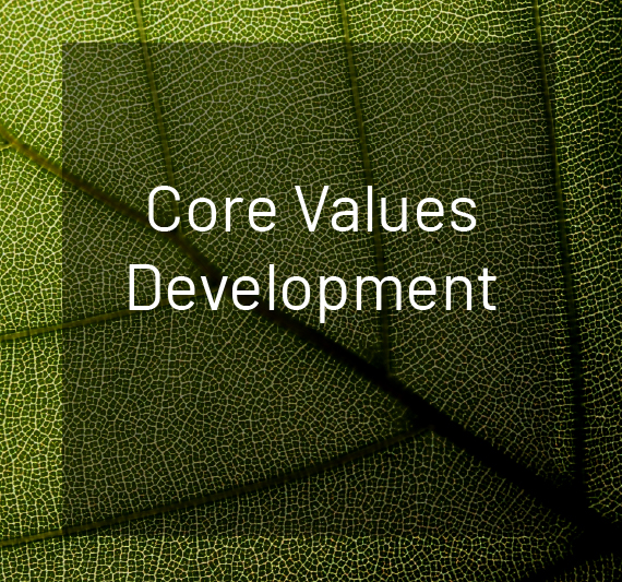 Panthera Accounting | Core Values Development
