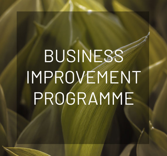Business Improvement Programme