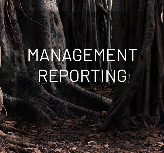 Management Reporting