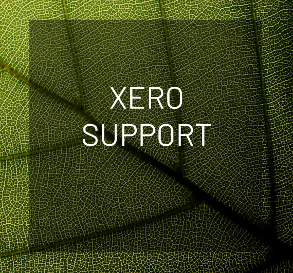 Xero Support